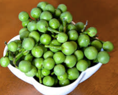 7 Manfaat Rimbang Untuk Mata Terampuh dan Bernutrisi - Manfaat.co.id